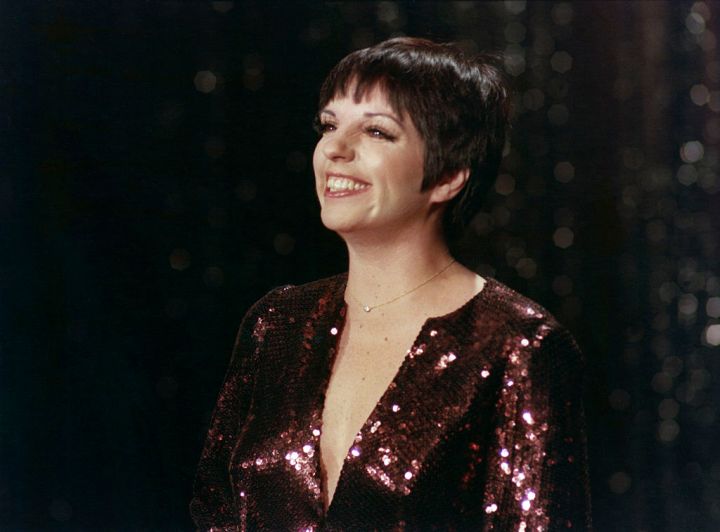 Liza: A Truly Terrific Absolutely True: ανάμεσα στο θέαμα και στην ...
